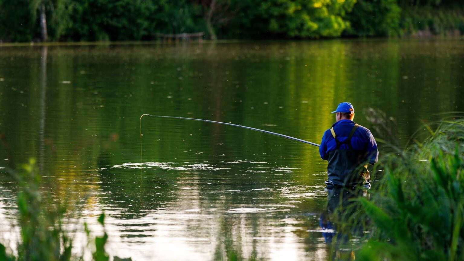 Avertisment privind consumul de pește de apă dulce: Două specii de ...